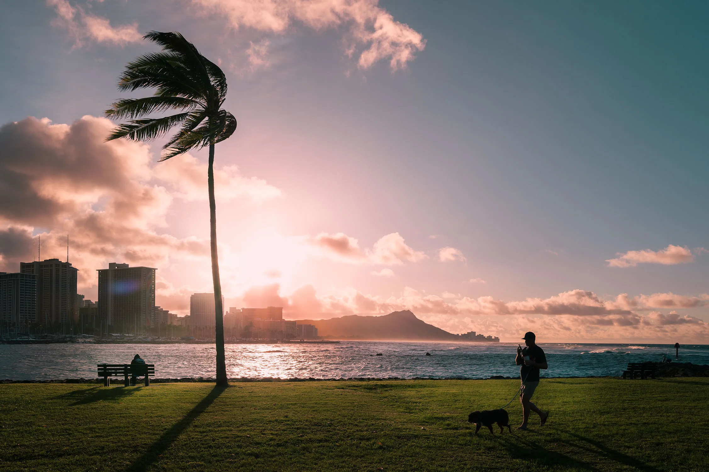 Three Creatives | The God Layer by Ali Ban